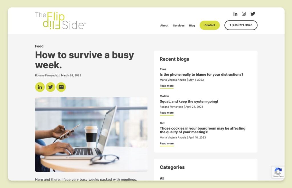 The Flip Side Website - Chris Noon Creative